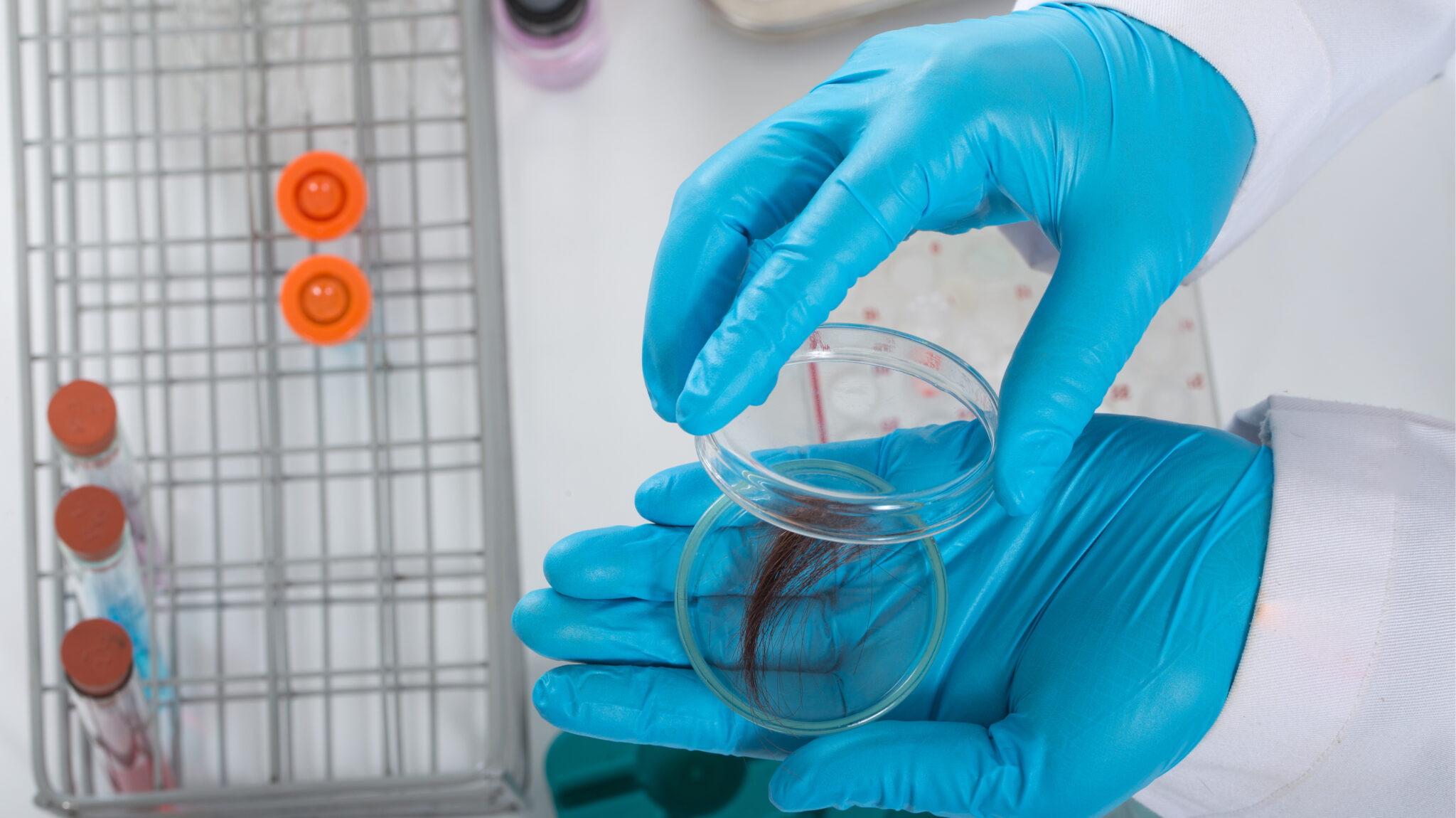 A comprehensive guide to drug screenings: Everything employers need to ...